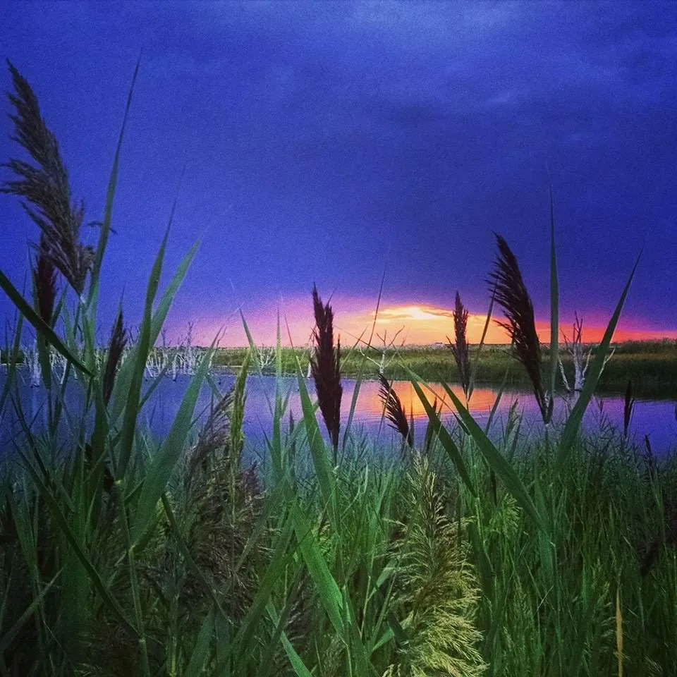 Trego County Kansas | Government Services & Information - Official Website